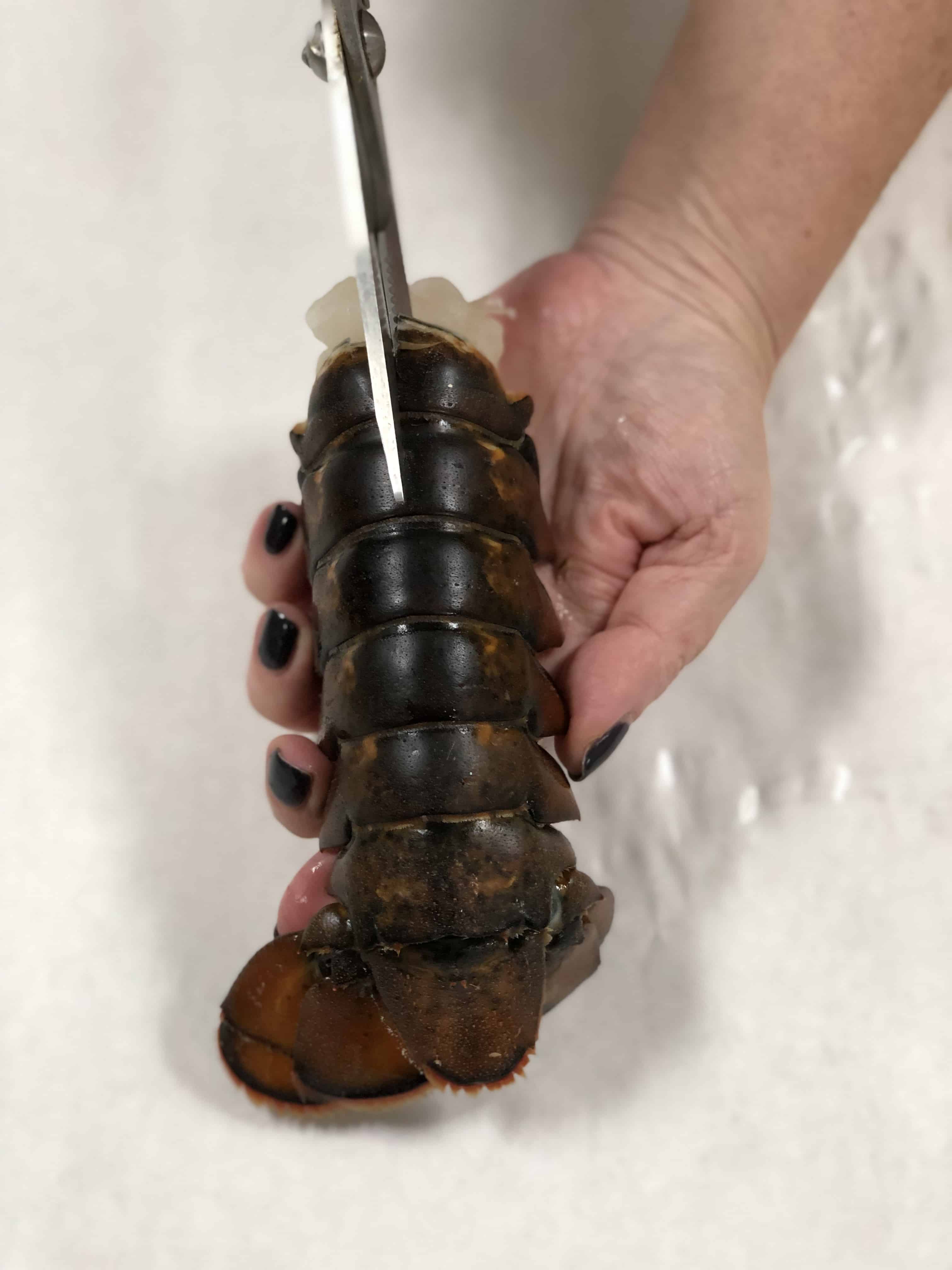 BROILED LOBSTER TAILS | EASY RECIPE | QUICK RECIPE