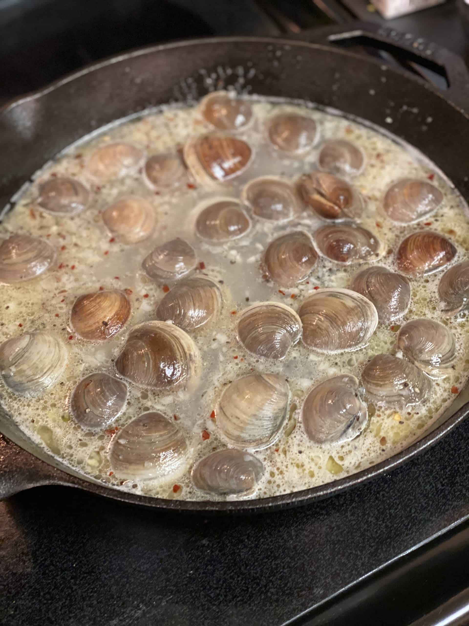 BUTTER GARLIC STEAMED CLAMS | APPETIZER | FRESH FOOD