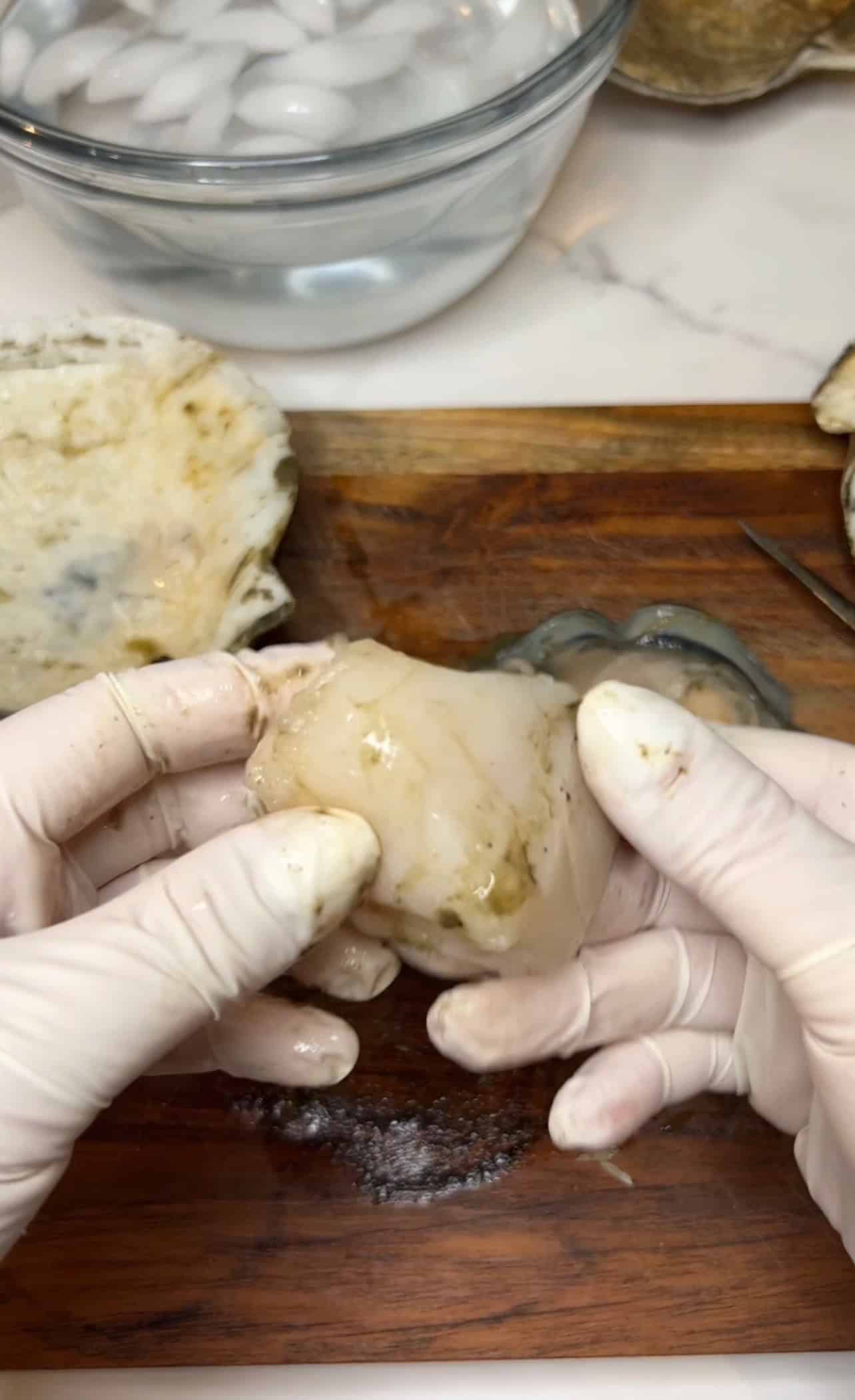 Guide to Live Scallops | Charlotte Fashion Plate