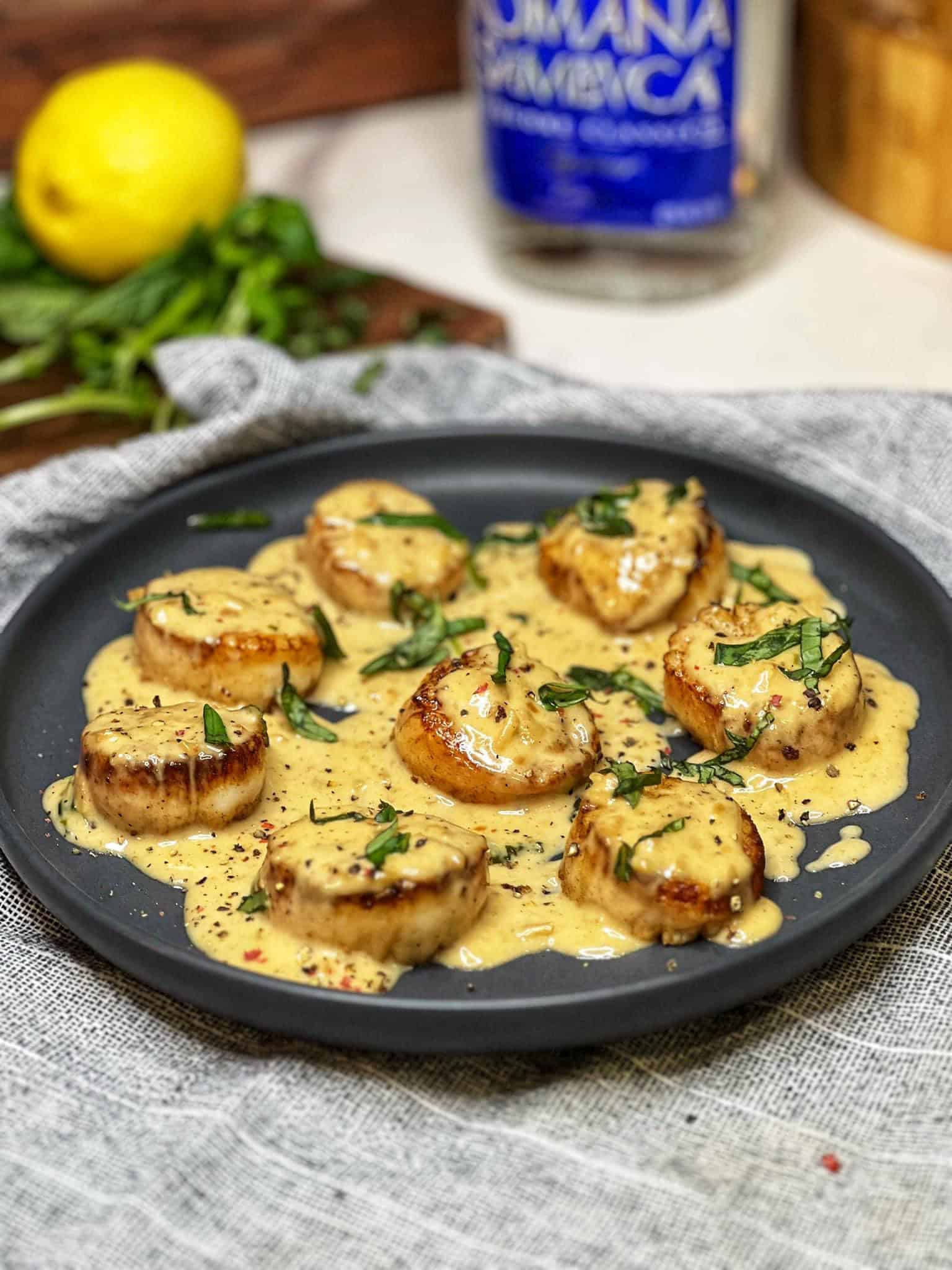 Scallops with Sambuca Cream Sauce | Charlotte Fashion Plate