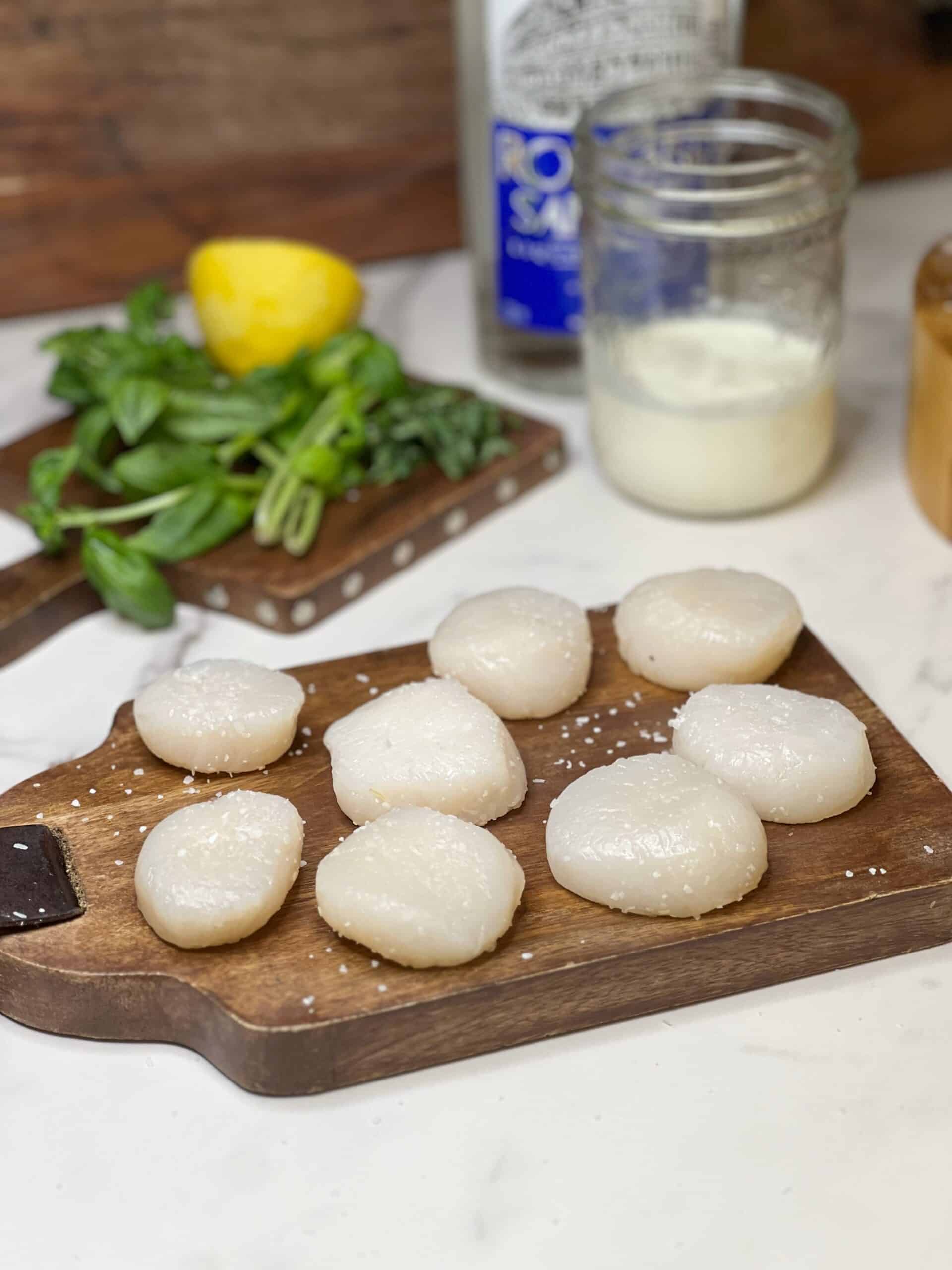 Scallops with Sambuca Cream Sauce | Charlotte Fashion Plate